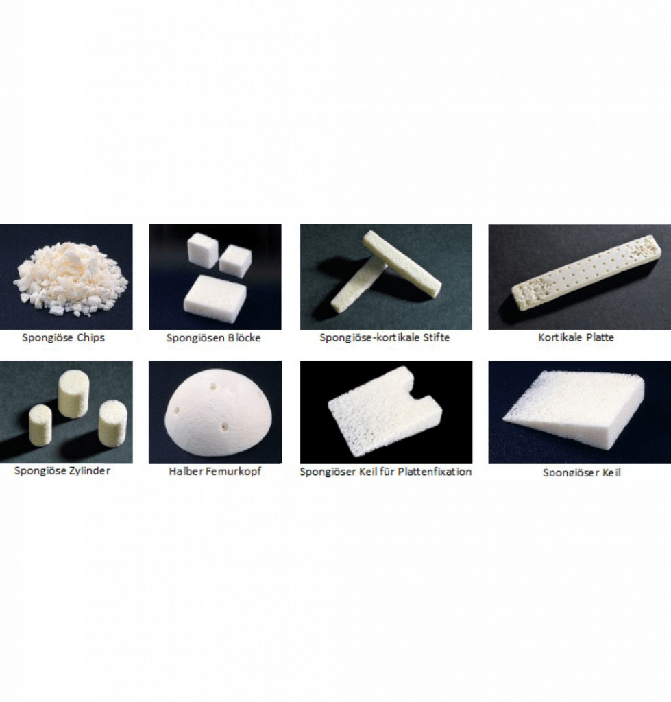 Bioteck® | Bone graft material for better osseintegration